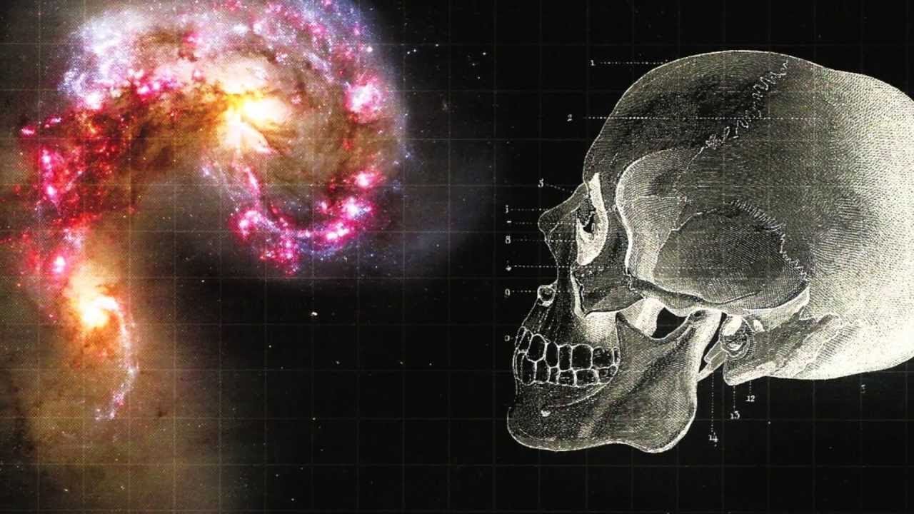 The Wisdom Tooth: Neural Theory vs. Soul Theory - Patricia Churchland ...