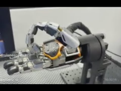 Phoenix humanoid robot hand calibration (Sanctuary AI) - YouTube