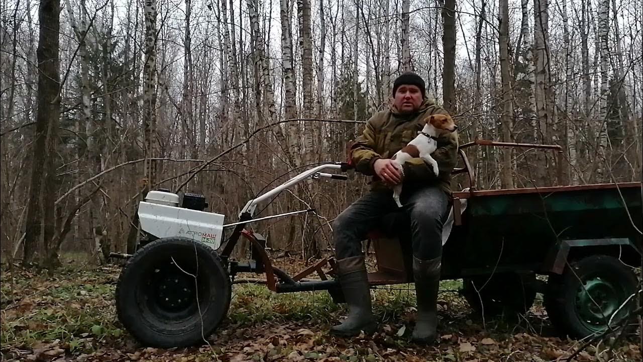 Поездка на мотоблоке в лес за дубом. Мотоблок. Лес. Джек рассел. - YouTube