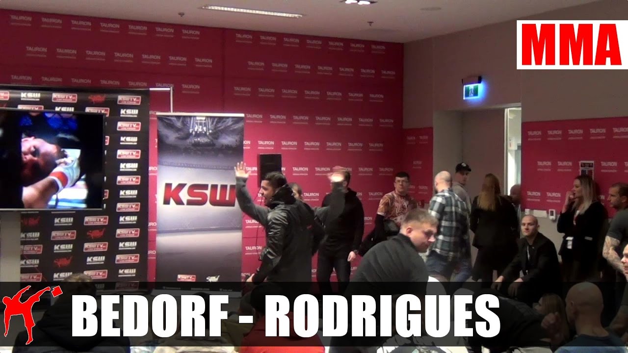Karol Bedorf vs Fernando Rodrigues Jr. - Reakcja media roomu - YouTube