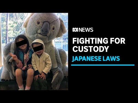 Japan's custody laws criticised for incentivising child abduction | ABC ...