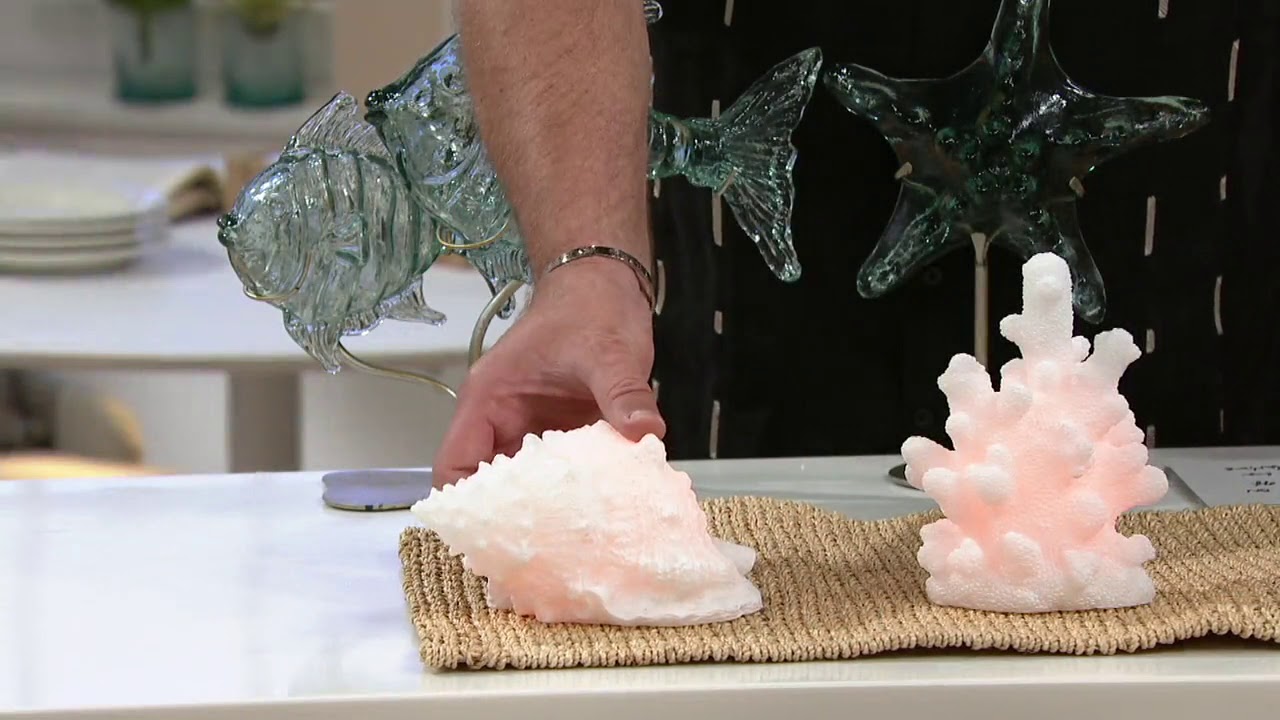 Candle Impressions Carved Coral Or Conch Shell Luminary on QVC - YouTube