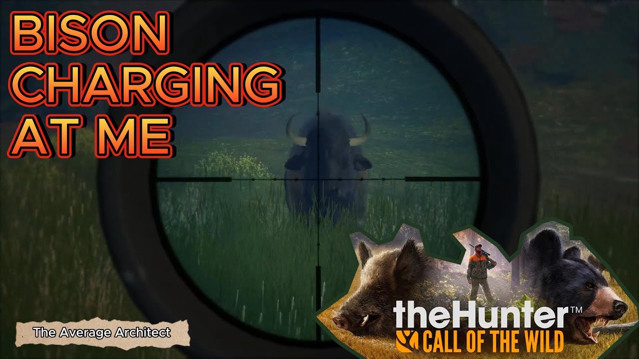 Angry Plains Bison Charging at Me | theHunter Call of the Wild - YouTube