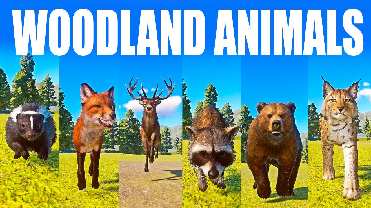 Woodland Animals Speed Races in Planet Zoo - YouTube