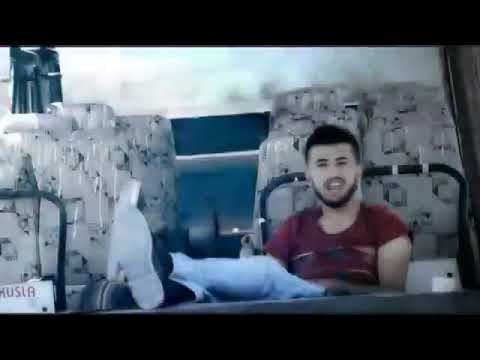 SanJar DOGO ARJANTİN (Diss)2015