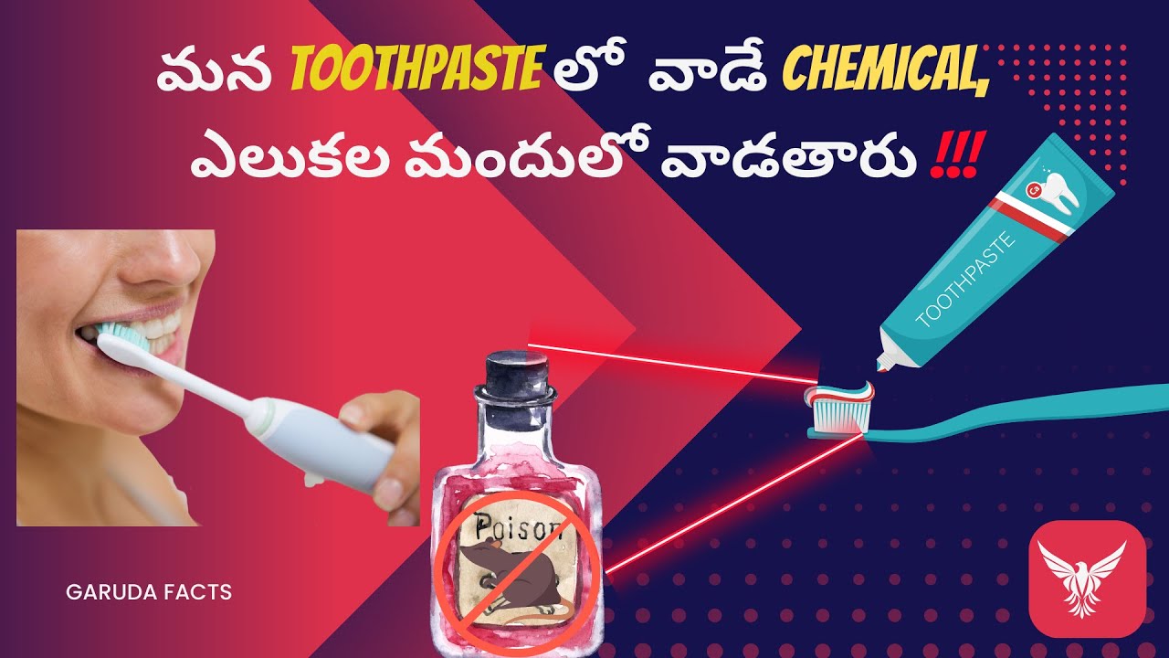 Telugu Top 10 Amazing Facts | Garuda Facts - YouTube