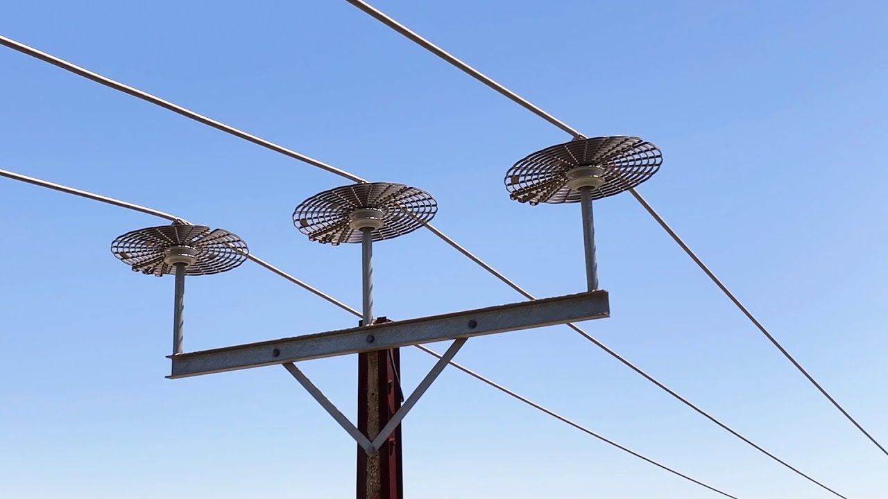 SA Power Networks install animal guards on power pole tops to reduce ...