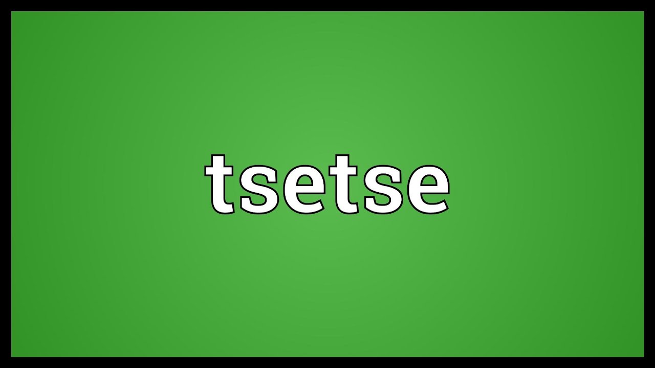 Tsetse Meaning - YouTube