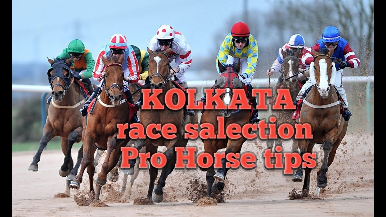 CALCUTTA RACES | 21 /12/2024 | KOLKATA RACE TIPS|RACE TIPS |HORSE ...
