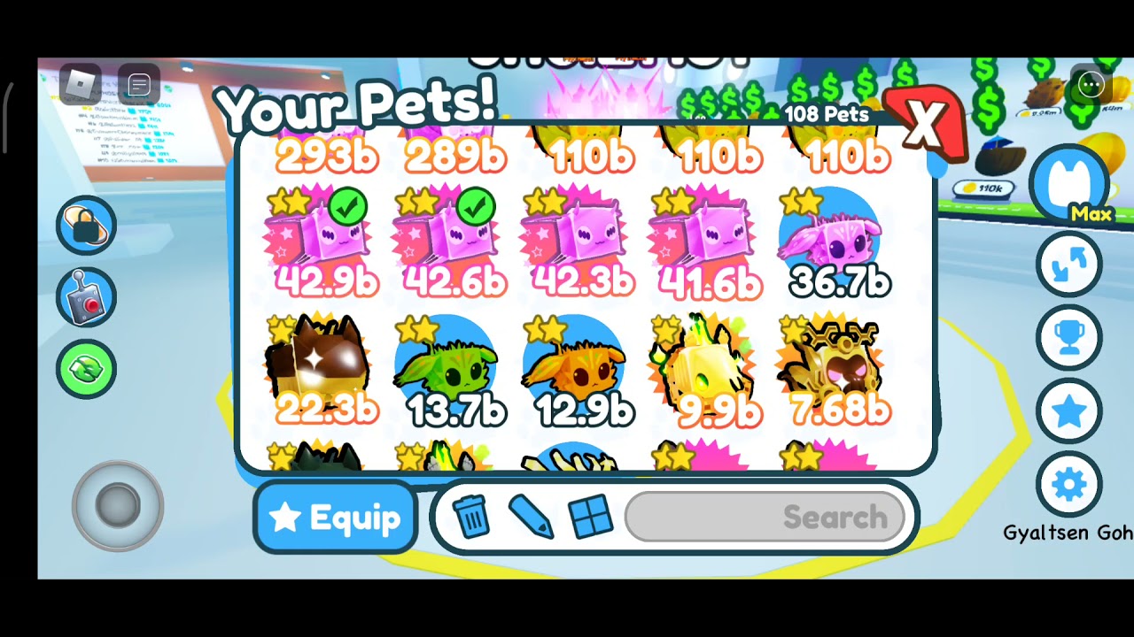 my inventory in pet simulator X - YouTube