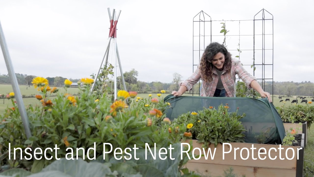 Insect and Pest Net Row Protector - YouTube