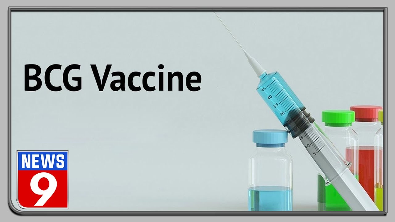 ICMR to test efficacy of BCG among elderly - YouTube