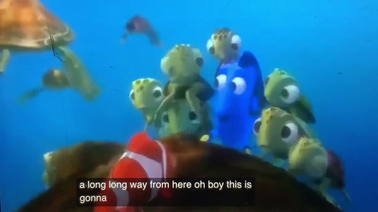 Finding Nemo Marlins story - YouTube