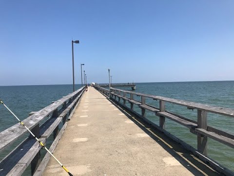 Point Lookout Fishing - Late August 2023 - YouTube