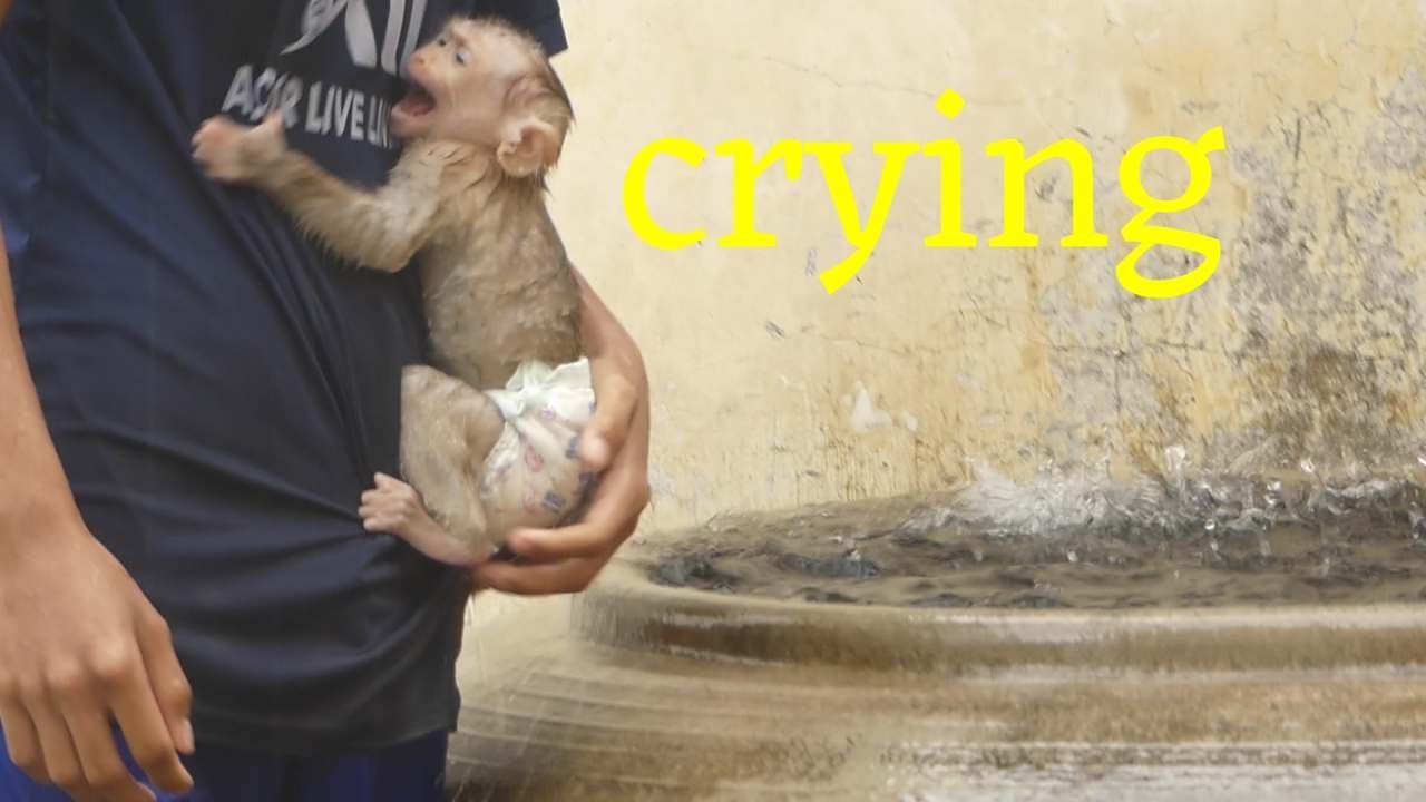 Ah bii is so pitiful, he is crying to his brother while racing. wow ...