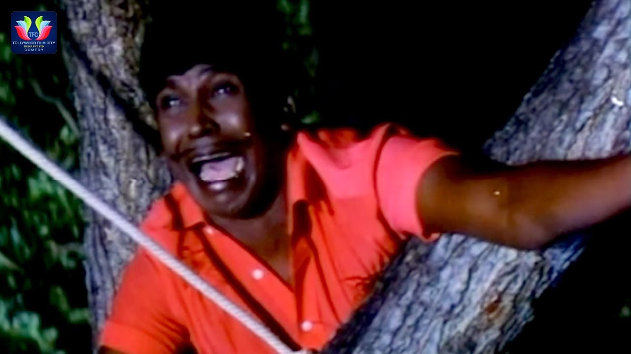 Vadivelu Hilarious Comedy Scene Winner Movie || Latest Telugu Comedy ...