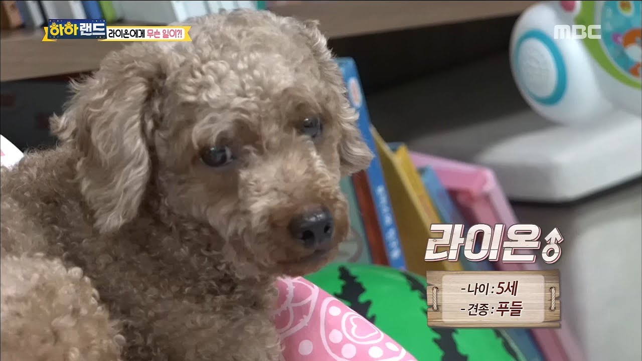 [Haha Land] 하하랜드 - I want to eat it. 20170913 - YouTube