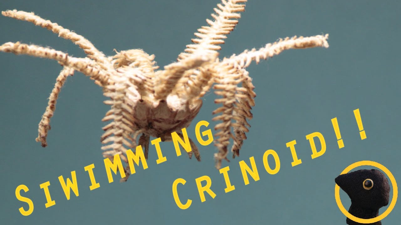 I made a swimming crinoid - Making Of Stars of Stone Part 2 - YouTube