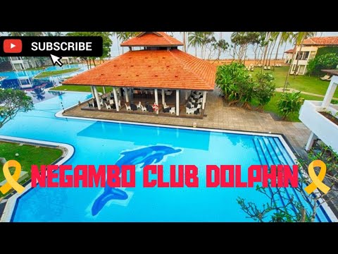 ️Beautiful Club Hotel Dolphin morning Review | #srilanka #negambo # ...