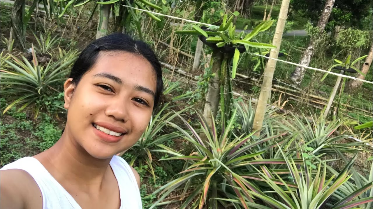 Farming 101: Fertilization through Drenching Method - YouTube