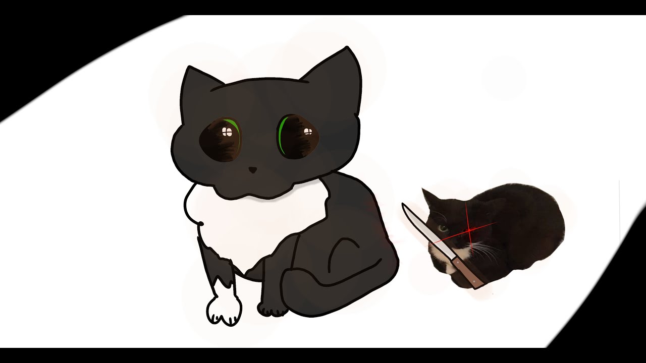 Meme Maxwell (animation) - YouTube