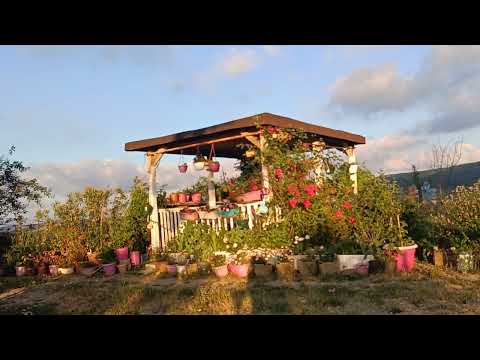 🍁❤🎋Bahce turu yapalimmi hangi çiçekler açmiş