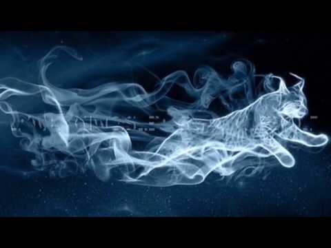 Harry Potter Character's Patronuses - YouTube