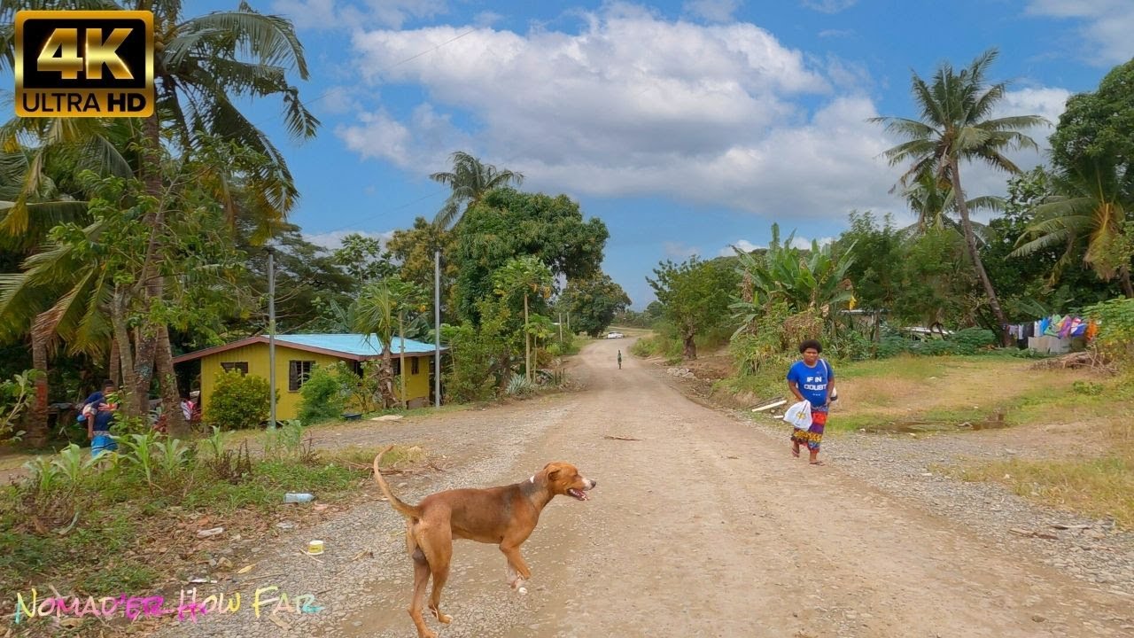 Walking through Legalega village, Fiji - with cute dog 🐕 - YouTube
