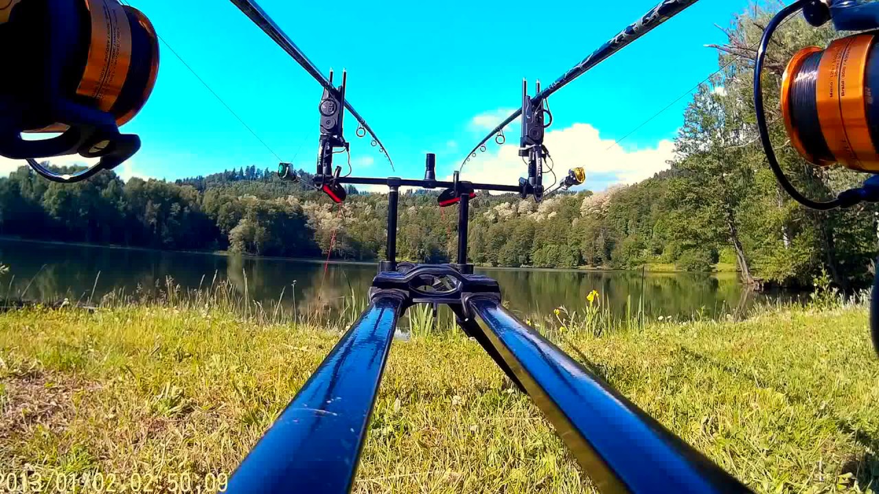 Live Carp Full Run Anaconda Tiki Taka Ims YouTube live-carp-full-run-anaconda-tiki-taka-ims-youtube