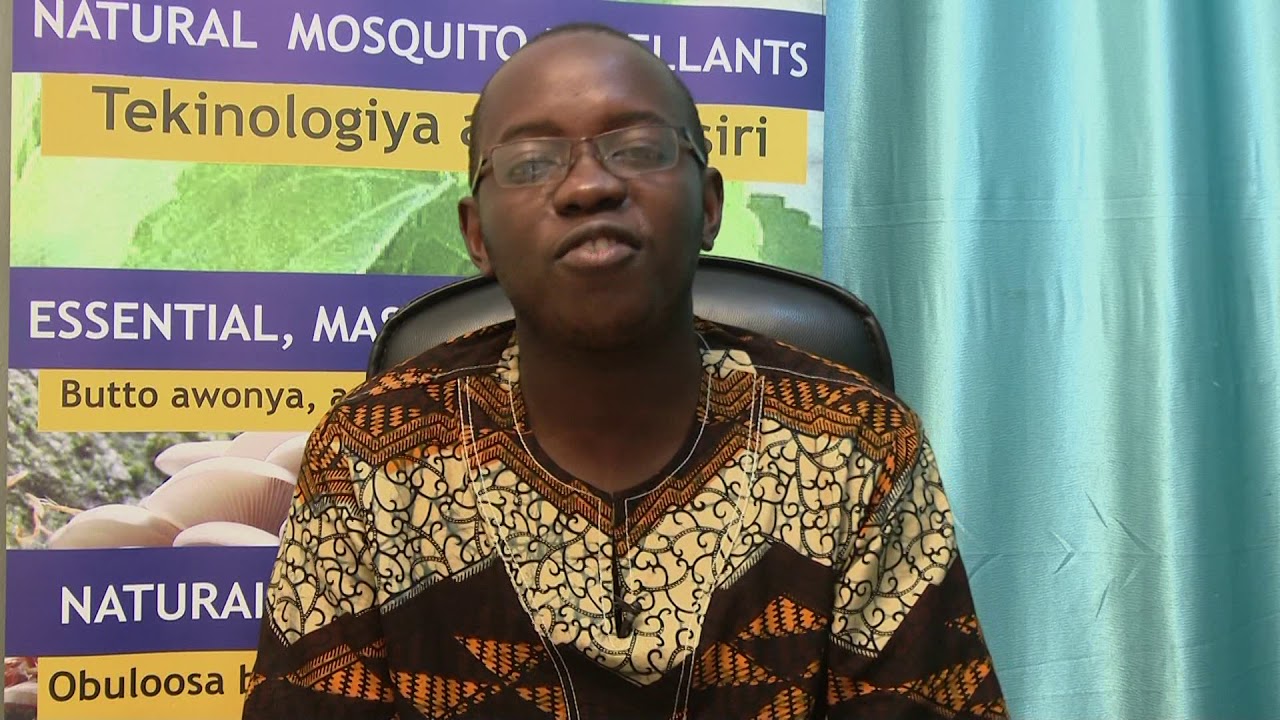 PROF BIORESEARCH EMBOOZI Z`OMUKENKUFU KAKOMERA ( CEDARWOOD OIL) - YouTube