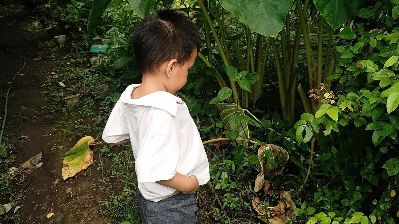 Anak menggemaskan tukang pipis sembarangan|| unboxing botol viral mixue ...