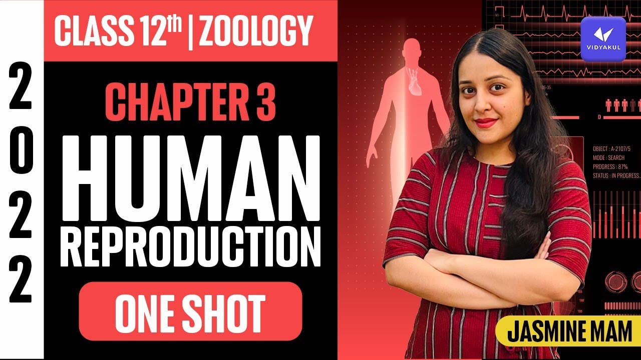 Human Reproduction Class 12 | One Shot | Class 12 Zoology Chapter 3 ...