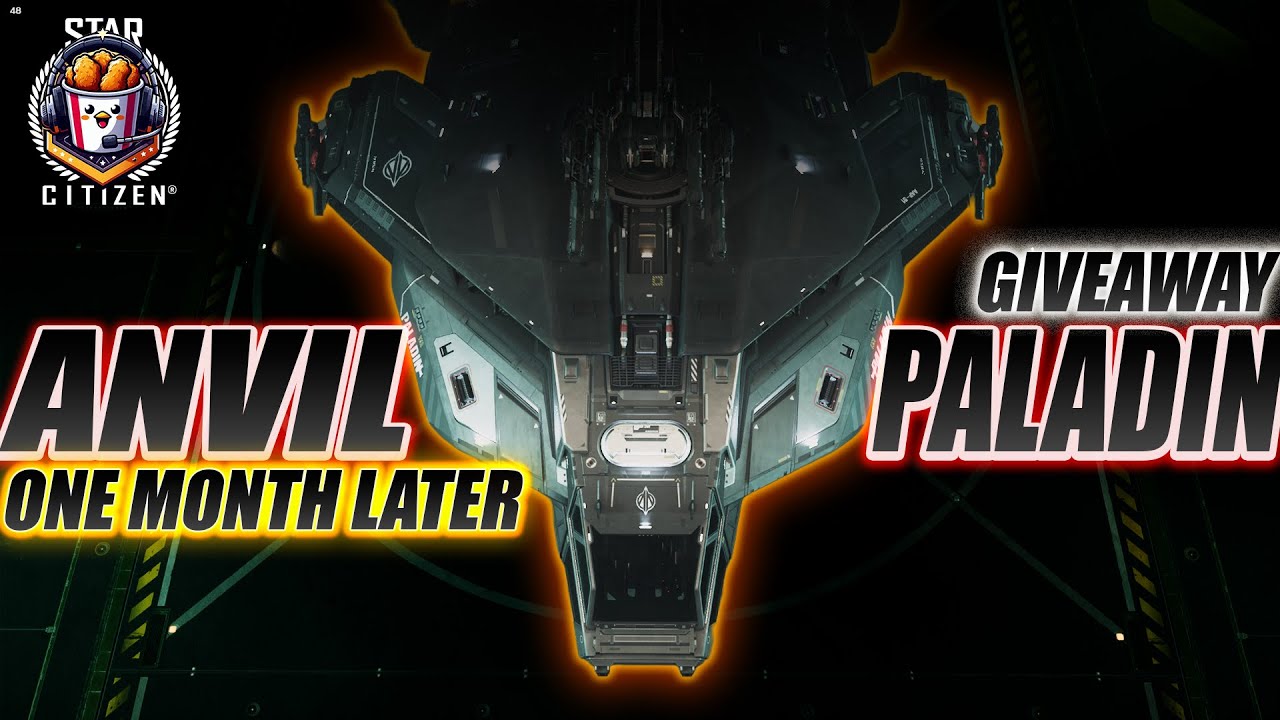 Anvil Paladin One Month Later - Before you fly - Star Citizen 4.5 - YouTube