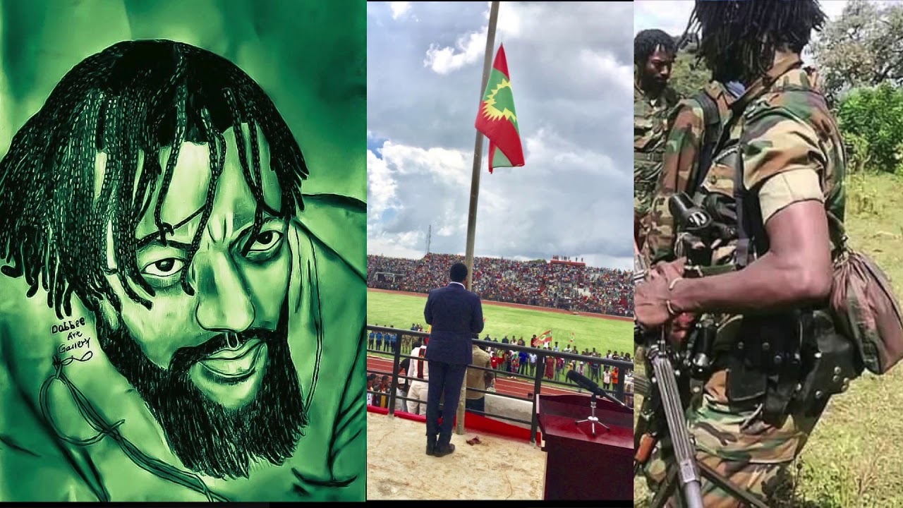 Oromo TV : Dhaamsa Ajajaa WBO Jaal Marroo Saba Oromoof 07/ 08/2020 ...