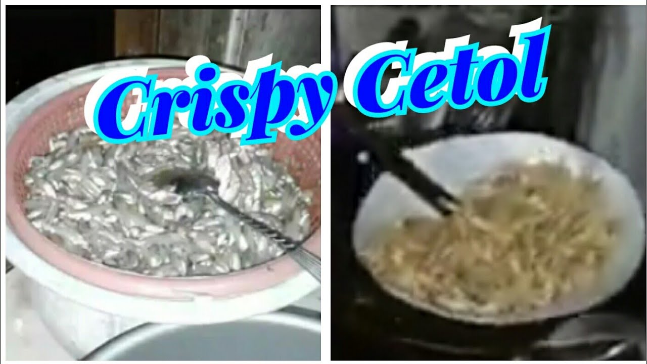 Cara memasak ikan cetol || ikan cere hasil nyeser | ikan kecil | ikan ...