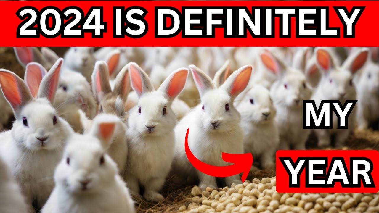Rabbit farming in 2024: best tips to succeed in rabbit farming Rabbit ...