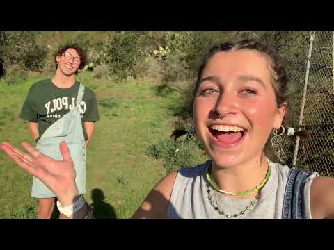 Lexi Dallas & Yoav Hessler Lair Application Video 2022 - YouTube