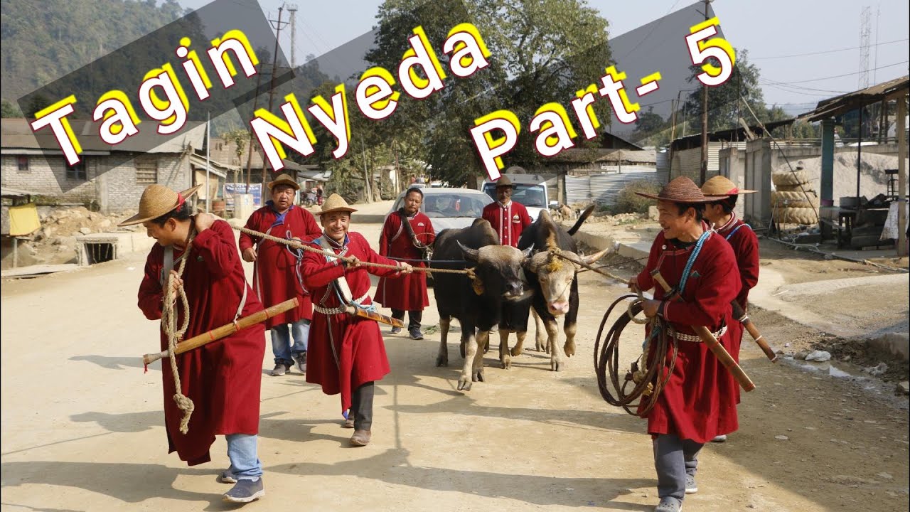 traditional tribal marraige of tagin tribe of arunachal pradesh || part ...