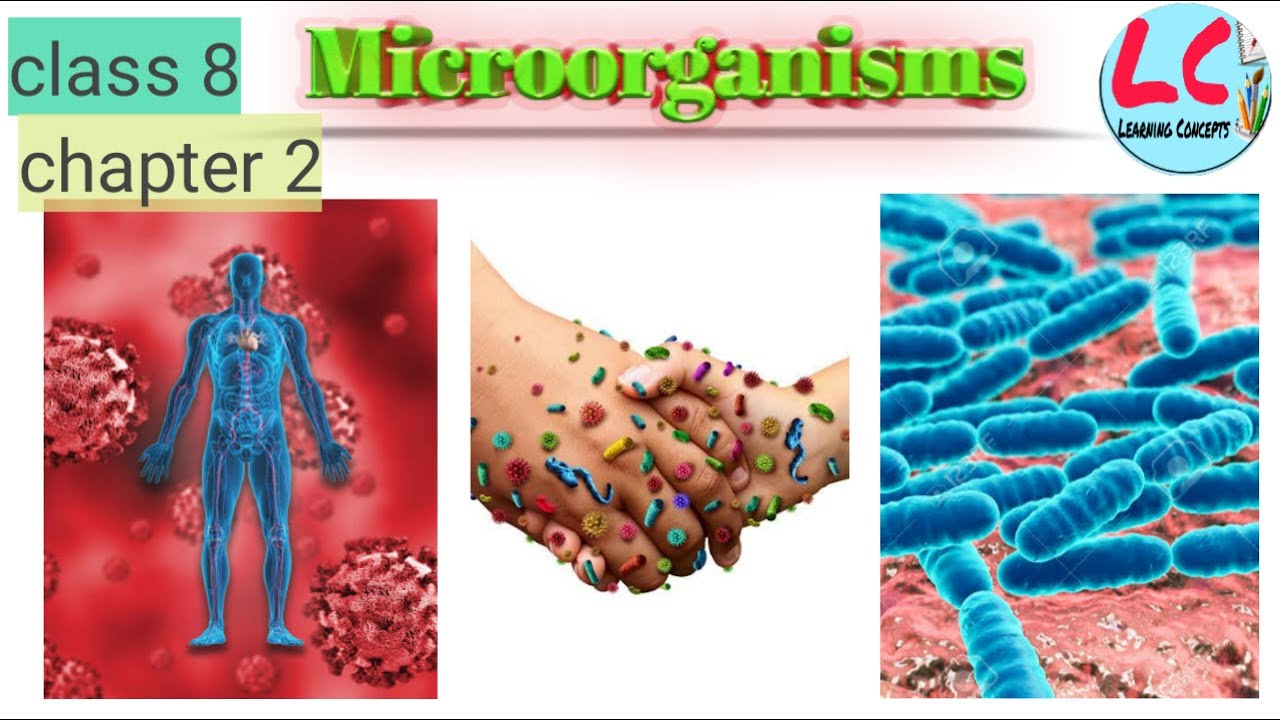 Microorganisms | Class 8 | Chapter 2 | Science | - YouTube