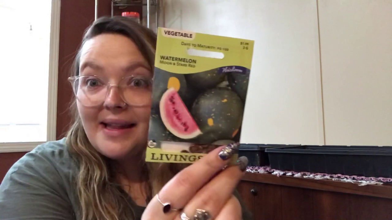 Planting Seeds with Miss Pomeroy - YouTube