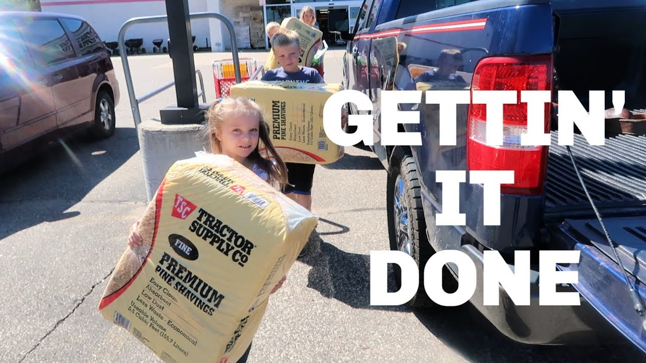 Shop With Us | Amber Gets Ready for the County Fair - YouTube