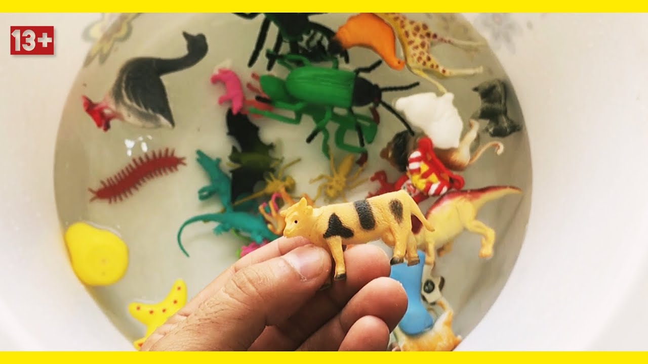 Plastic mini Animals In water tub | Plastic mini Insects in water Tub ...