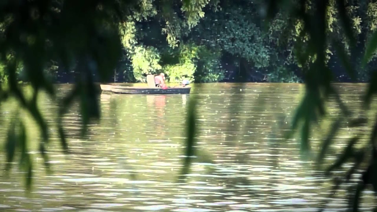 Cvetanje Tise - Tiszavirágzás - Blooming of the Tisa river (Kanjiza ...