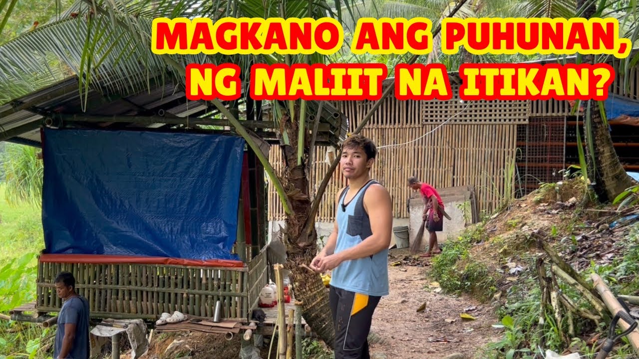 MAGKANO ANG PUHUNAN NG MALIIT NA ITIKAN? | SOLLE'S GANDANG BUHAY - YouTube