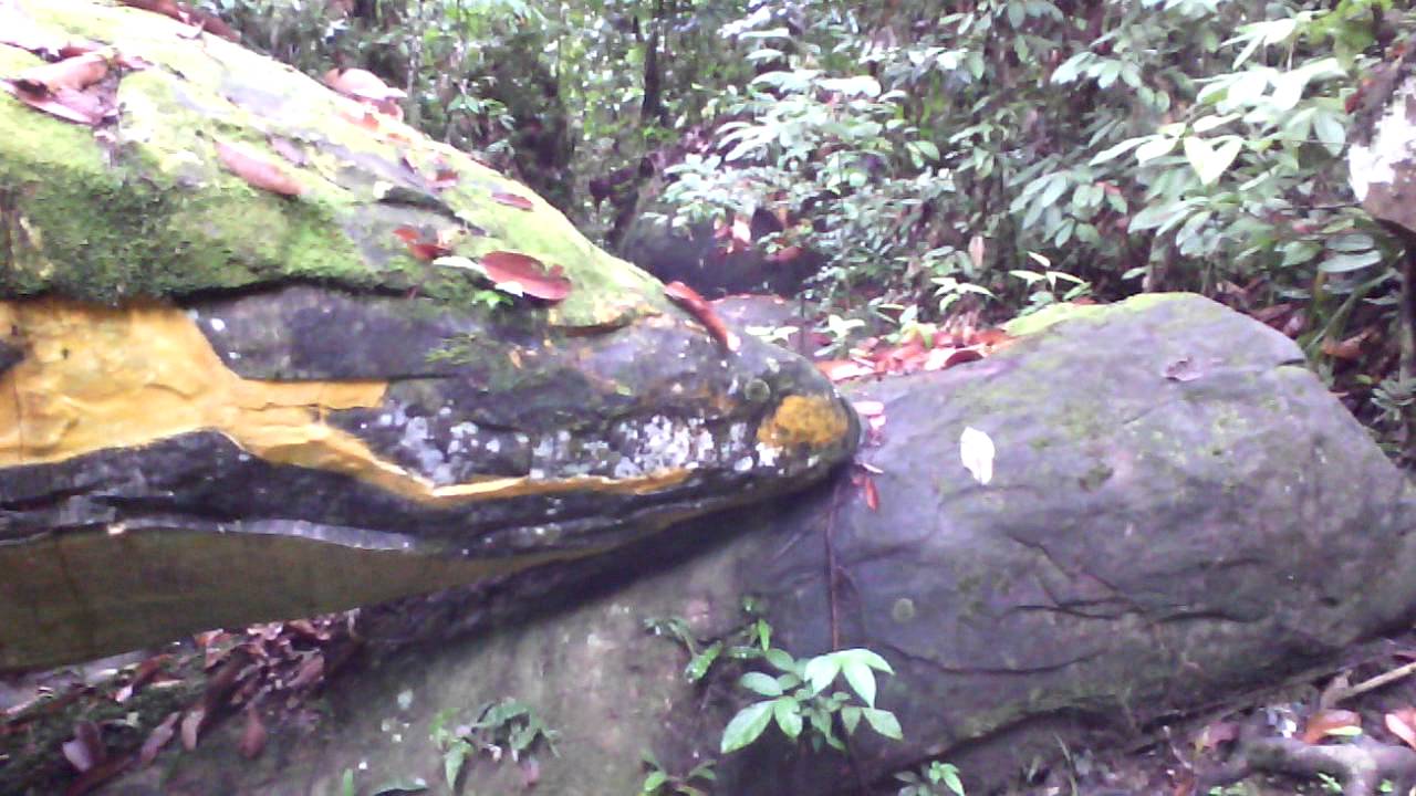 Batu nabau (Kpg Bukong, Engkelili) - YouTube