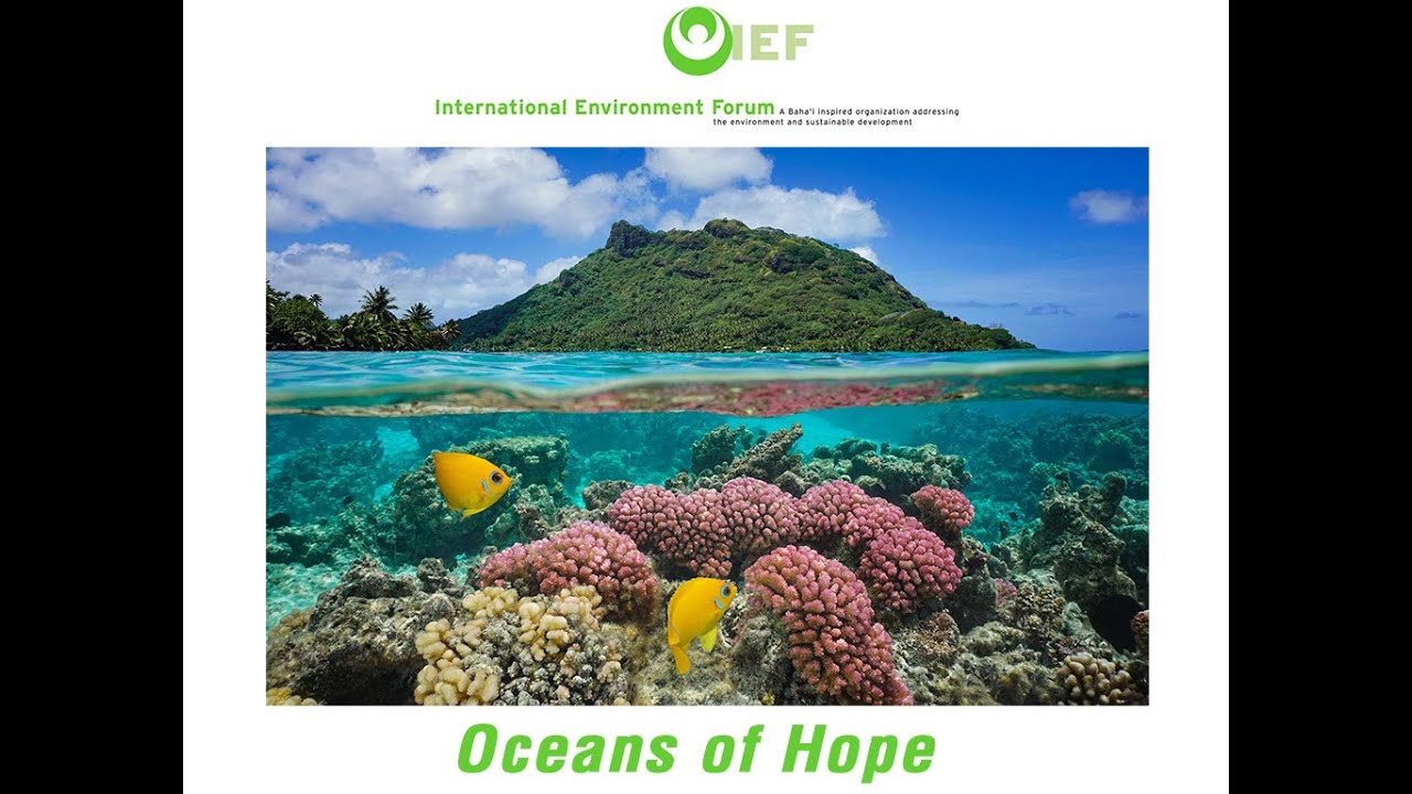 IEF Oceans of Hope Feb 3 2024 - YouTube