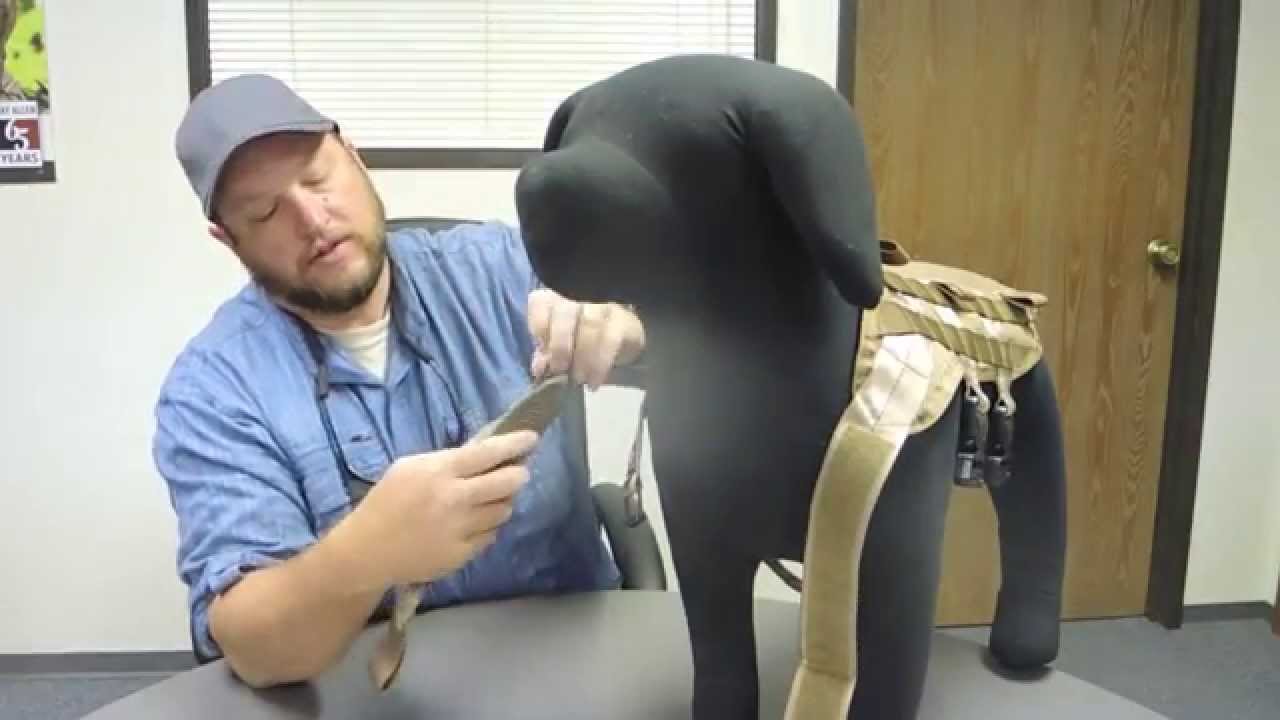 Modular Harness Breastplate and Adapter for Dogs by Ray Allen ...