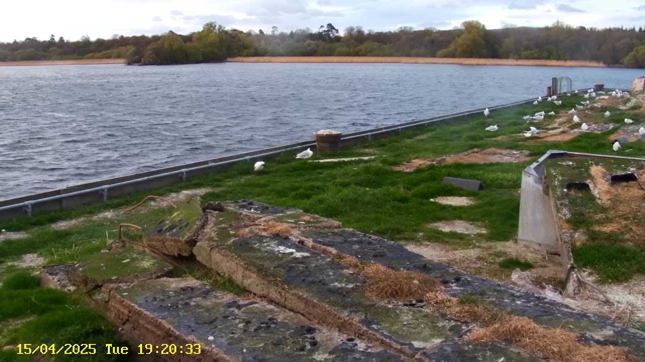 Lough Neagh: Torpedo Platform🌙14/04/25 - YouTube