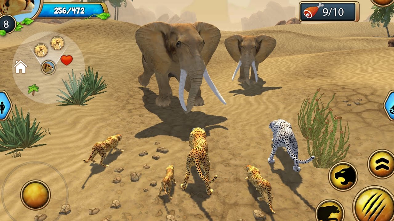 Cheetah Family Sim 3D Android Gameplay HD #1 - YouTube