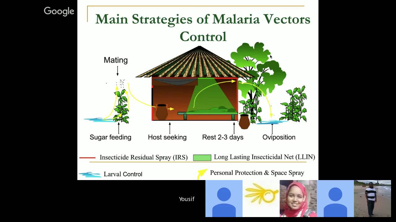 Malaria webinar: Vector control #SRI_Webinar - YouTube